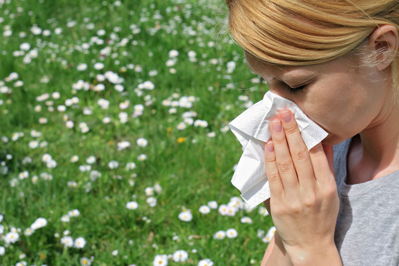 Spring Allergies | Medical Alert | LifeFone